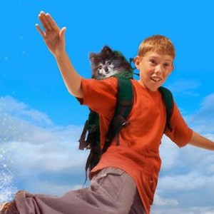 Flyin' Ryan - Rotten Tomatoes