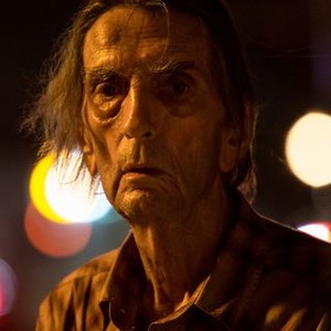 Lucky - Rotten Tomatoes