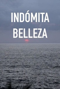 Indómita belleza | Rotten Tomatoes