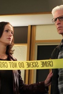 CSI: Crime Scene Investigation - Season 13 Episode 15 - Rotten Tomatoes