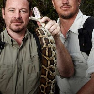 Python Hunters - Rotten Tomatoes