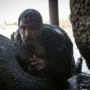 Brian Gant - Rotten Tomatoes