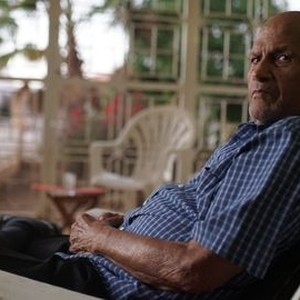 Atardi: The Life of Curaçao's Musical Genius Rudy Plaate - Rotten Tomatoes