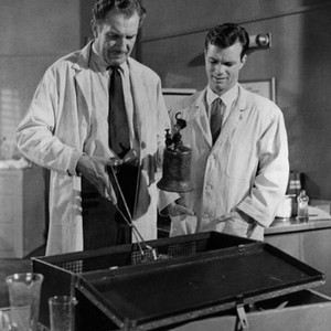 Darryl Hickman - Rotten Tomatoes