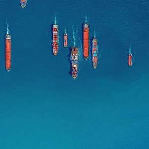 Out of Stock: Supply Chain Crisis - Rotten Tomatoes