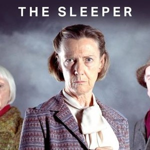 The Sleeper - Rotten Tomatoes