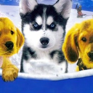 Snow Buddies - Rotten Tomatoes