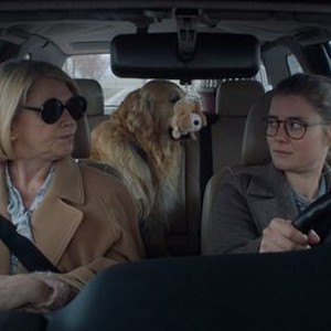 The Best of Dorien B. - Rotten Tomatoes