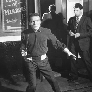 Graham Curnow - Rotten Tomatoes