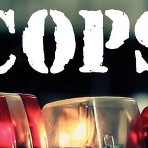Cops: Season 17, Episode 25 - Rotten Tomatoes