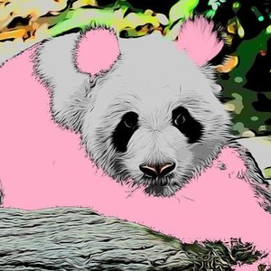 The Pink Panda - Rotten Tomatoes