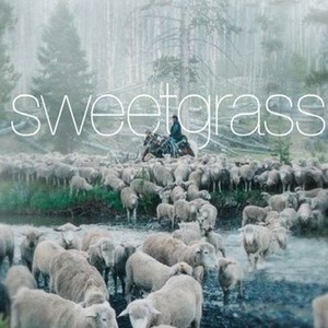 Sweetgrass - Rotten Tomatoes