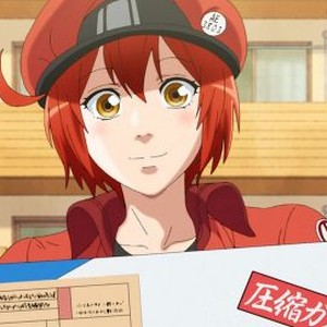 Cells at Work!: Season 2, Episode 1 - Rotten Tomatoes