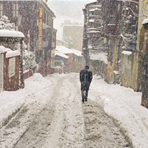 Distant - Rotten Tomatoes