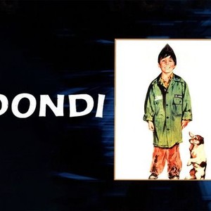 Dondi - Rotten Tomatoes