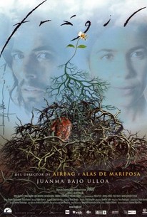 Frágil (2004) | Rotten Tomatoes