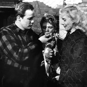 Arthur Keegan - Rotten Tomatoes