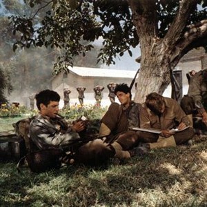 Bobby Di Cicco - Rotten Tomatoes