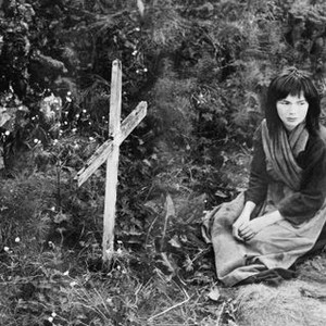 Björk - Rotten Tomatoes