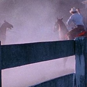 Running Fence - Rotten Tomatoes