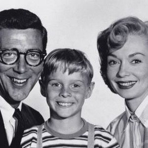 Dennis the Menace - Rotten Tomatoes