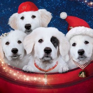 Santa Paws 2: The Santa Pups - Rotten Tomatoes