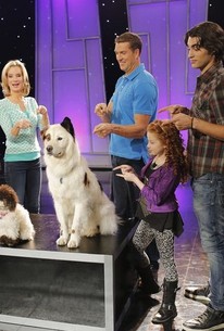 Dog With a Blog: Season 3, Episode 20 - Rotten Tomatoes