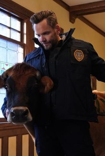 Animal Control: Season 1, Episode 5 - Rotten Tomatoes