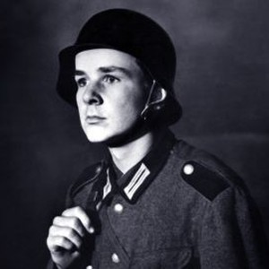 The Bridge - Rotten Tomatoes