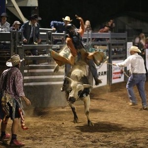 A Rodeo Film - Rotten Tomatoes