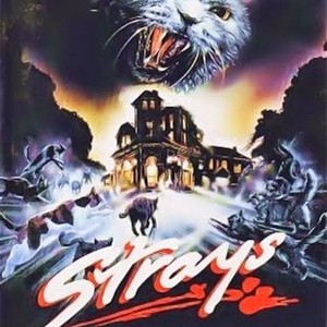 Strays - Rotten Tomatoes