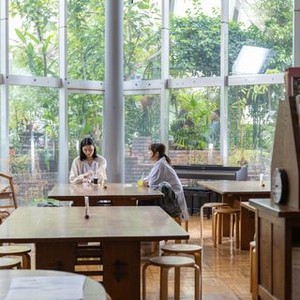 Remembering Every Night - Rotten Tomatoes