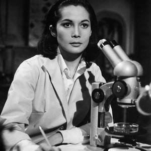 Rotten Tomatoes: Movies | TV Shows | Movie Trailers | Reviews - Rotten ...