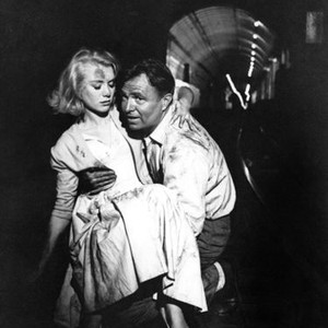 Inger Stevens - Rotten Tomatoes