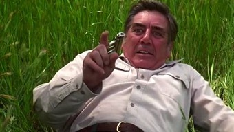 Life - Rotten Tomatoes