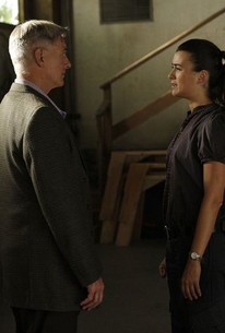 NCIS: Season 7, Episode 2 | Rotten Tomatoes