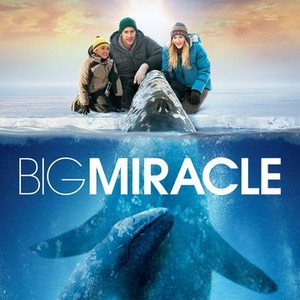 Big Miracle - Rotten Tomatoes