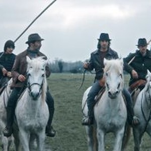 Tom Medina - Rotten Tomatoes