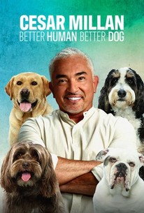 Cesar Millan: Better Human Better Dog: Season 4 | Rotten Tomatoes