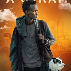 A Stray - Rotten Tomatoes