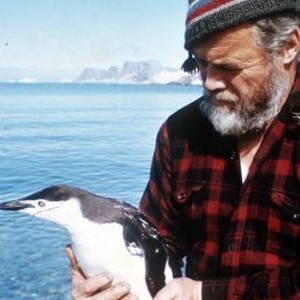 Following Seas - Rotten Tomatoes