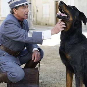 The Red Collar - Rotten Tomatoes