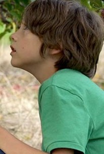 Newtown | Rotten Tomatoes