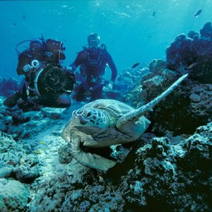 Sacred Planet - Rotten Tomatoes