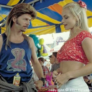 Joe Dirt - Rotten Tomatoes