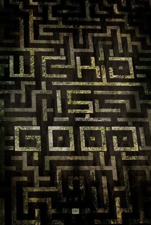 The Glade Maze Runner Birds Eye View