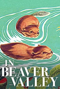 Beaver Valley | Rotten Tomatoes