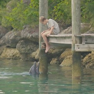 Dolphin Kick - Rotten Tomatoes