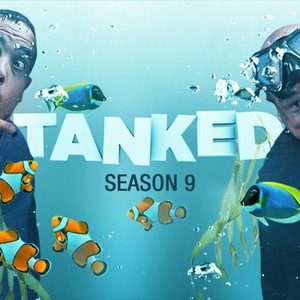 Tanked: Season 9, Episode 3 - Rotten Tomatoes