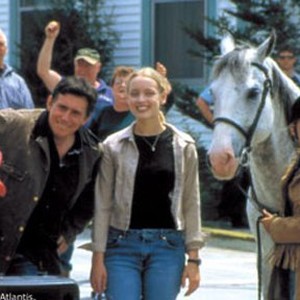 Virginia's Run - Rotten Tomatoes